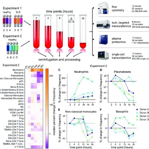 Flow Cytometry Suggests Minimal Effects From Pbmc Processing Delay A