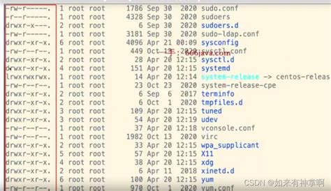 Linux 文件与目录管理详解 Csdn博客