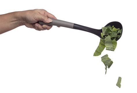 케일 플라이 가을 터너 녹색 신선한 야채 중국 케일 컷 찹 슬라이스 중국 케일의 잎을 먹은 유기농 신선한 야채 힙 클로즈 업 텍스처 흰색 배경 격리된 정지 동작 자르기에