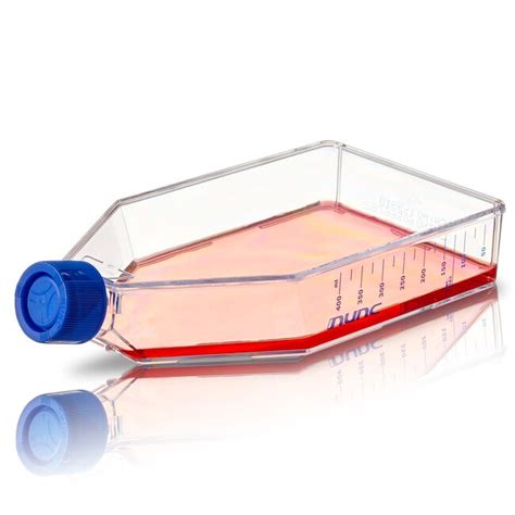 Nunc™ Cell Culture Treated Flasks With Solid Caps 175 Cm² Buy Online