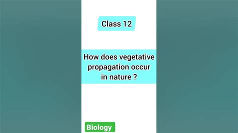How Does Vegetative Propagation Occur In Nature Ll Class 12 Biology Chapter 1 Shorts Biology