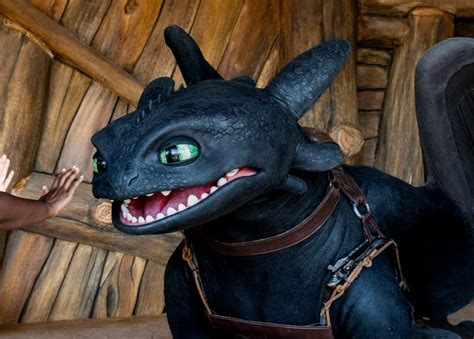 Video Universal Orlando Resort Shares Footage Of Toothless Meet And Greet Wdw News Today