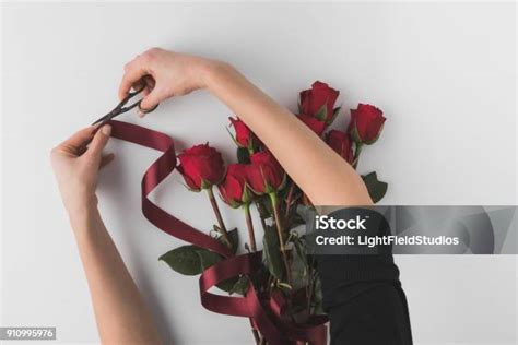 여자 꾸미는 St 리본 빨간 장미의 꽃다발 발렌타인 데가 휴일 흰색 절연의 자른된 샷 가위에 대한 스톡 사진 및 기타 이미지 가위 계절 꽃 식물 Istock