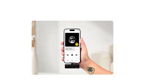 Lotoo En Accessories Lttp