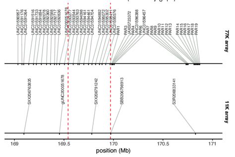 Experimental Design For Detecting Recombination In The Extended Par Of Download Scientific