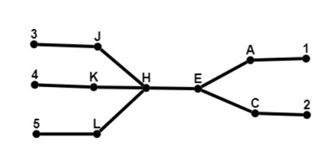 The Network Of Earlier Fig Uses RSVP With Multicast Trees Quizlet