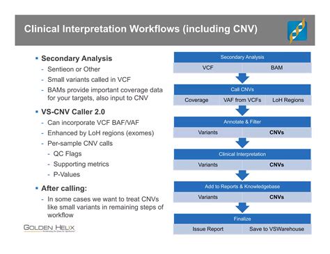 Comprehensive Clinical Workflows For Copy Number Variants In Varseq Pdf
