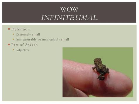 Infinitesimal Definition