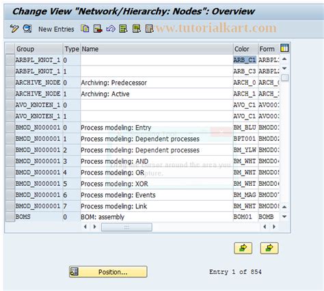 CNG SAP Tcode Network Hierarchy Maintain Node Type Transaction Code
