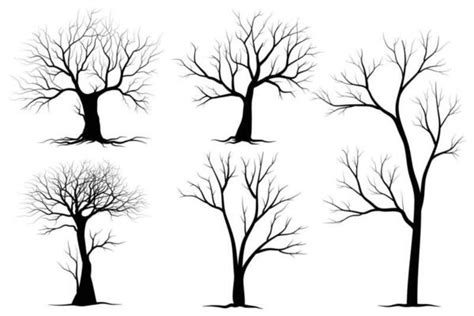 Black Tree Silhouettes Vector Art Icons And Graphics For Free Download