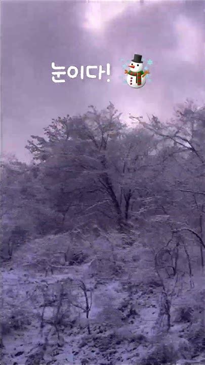 뽀로로 마을 ☃️ Youtube