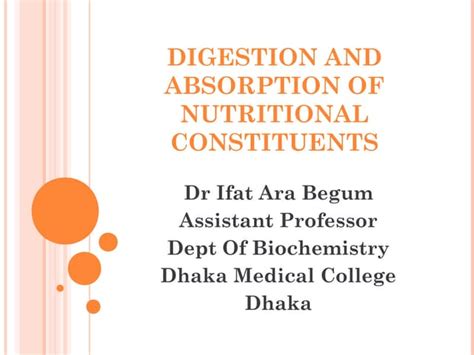 Lipid Digestion And Absorption Pptx Lipid Digestion And Absorption Pptx
