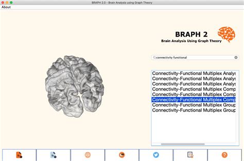 Pipeline Connectivity Functional Multiplex Comparison Wu Braph