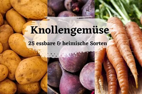 Tuber Vegetables 25 Edible And Local Varieties List Vegetable Garden