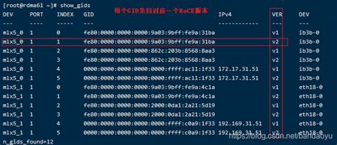 【rdma】rocev2 帧结构 roce和rroce soft roce softroce原理 csdn博客