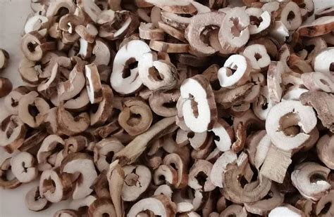 Mu Dan Pi Moutan Cortex Herb What It Is Benefits And Risks Health Facts Time