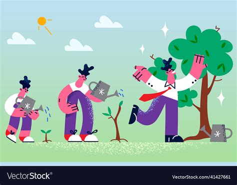 From Seedling To Tree Life Cycle Royalty Free Vector Image