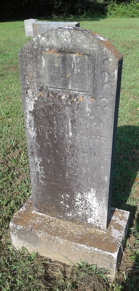 Nancy Haynes Dewees 1816 1881 Find A Grave Memorial