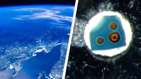 Earth Surface Scientists Discovered Huge Ocean Beneath Earths
