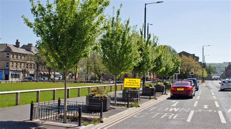 How Trees Act As Sound Barriers In Urban Environments GreenBlue Urban