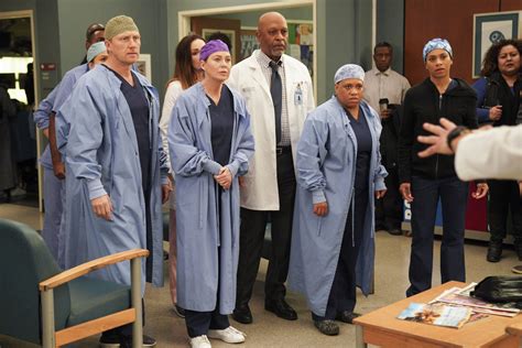 Grey S Anatomy Season 18 ER Fightmaster To Recur As Series First