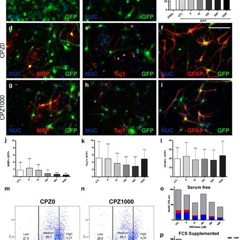 Sholl Analysis To Determine Ol Morphological Complexity In