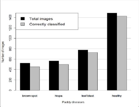 Correctly Classified Of Paddy Disease Images By Mlp Download Scientific Diagram