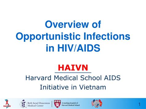 Ppt Overview Of Opportunistic Infections In Hiv Aids Powerpoint Presentation Id