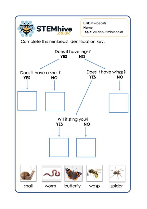 Minibeasts Resources Ks1 Topic Science Resources For Year 1 And Year 2