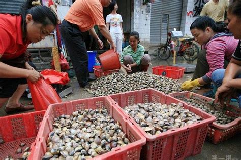 厦门这种人一定不要吃海鲜3招教避免海螺中毒