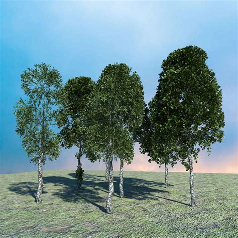 Trees Trees 3d Models Download Free3d
