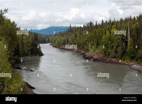 The Nass River Valley Boreal Forest And Skeena Mountains Seen From