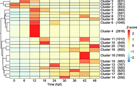 Heatmap Based On K Means Clustering K 20 Of Erna Temporal