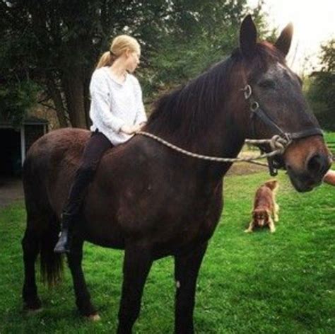 Pin By K M On Pieces Of You Amanda Seyfried She Dog Amanda