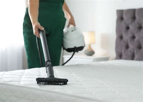 Choosing A Bed Bug Treatment
