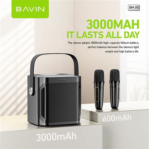 Bavin Bm20 Professional Karaoke Bluetooth Portable Speaker Dual Microphone With Phone Stand