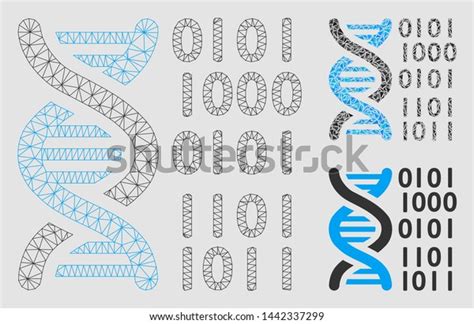 Mesh Dna Binary Code Model Triangle Vector De Stock Libre De Regalías