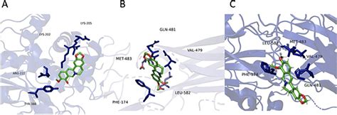 Modulatory Effect Of Natural Antioxidants On Tissue Transglutaminase