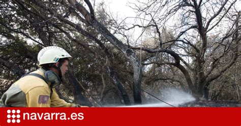El Gobierno De Navarra Actualiza El Plan Para La Prevención Vigilancia