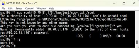 Secure Network Analytics 750以降のサーバへファイルを配置する方法について Cisco Community