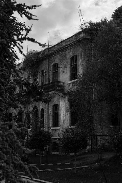 건물 외관 건축 고대의 고독 고딕 스타일 골동품 광야 귀신 들린 그레이스케일 나뭇잎 낡은 다른 세상 담쟁이덩굴 도시 탐사 무성한 문화 유산