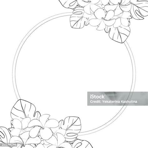 Monstera 잎 와 Plumerias 꽃이 있는 벡터 열대 템플릿입니다 원형 프레임 자유형 그리기 배열 배경 블랙 서킷 실루엣 구도에 대한 스톡 벡터 아트 및 기타