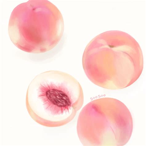 복숭아일러스트 By 일러스트레이터 수수 포트폴리오 노트폴리오
