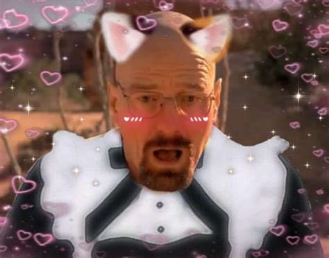 Walter White Nya Nya Breaking Bad Jesse Better Call Saul Breaking Bad
