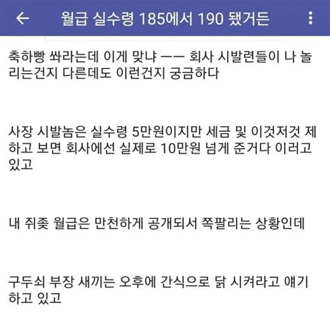 너네 이거 봤어 현실적인 중소기업 직장인 월급 Daum 카페
