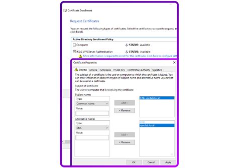Comprehensive Guide To Setting Up And Using Aovpn