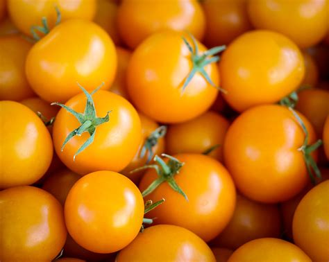 Kirsebærtomat, Cherrytomat, Goldiana | Solhatt økologiske frø