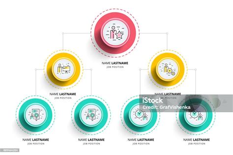비즈니스 계층 Organogram 차트 Infographics 기업 조직 구조 그래픽 요소입니다 회사 조직 분기 템플릿입니다 현대 벡터 정보 그래픽 트리 레이아웃