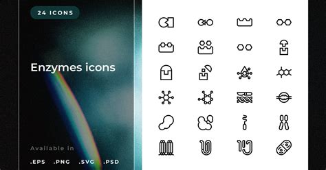 Enzymes Icons Icons Ft Biology And Protein Envato