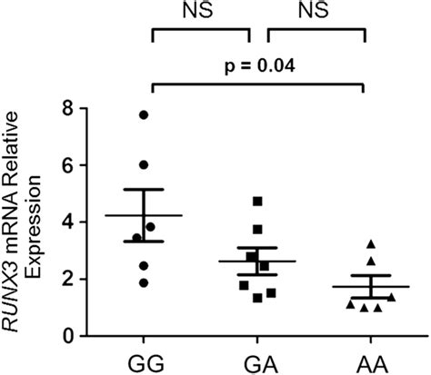 Allele Specific Effects Of Rs4648889 On Runx3 Expression Relative